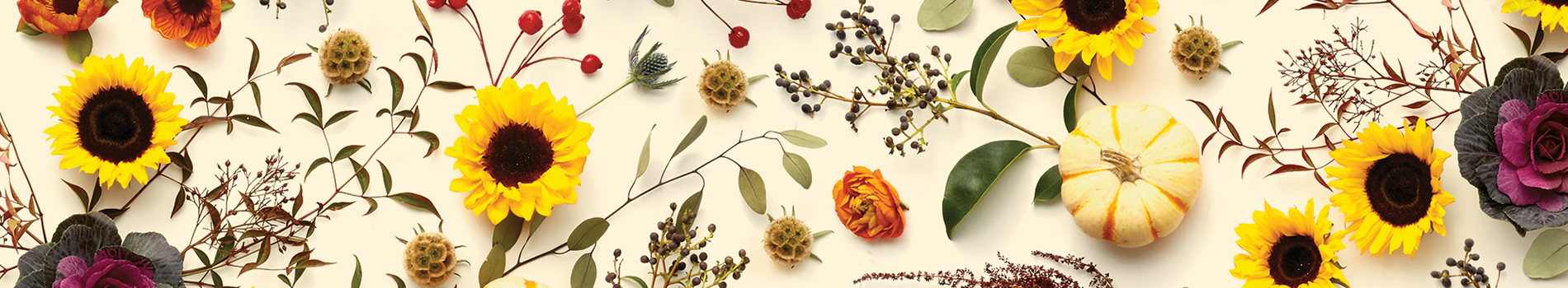 Thanksgiving Ideas | Hallmark Ideas & Inspiration